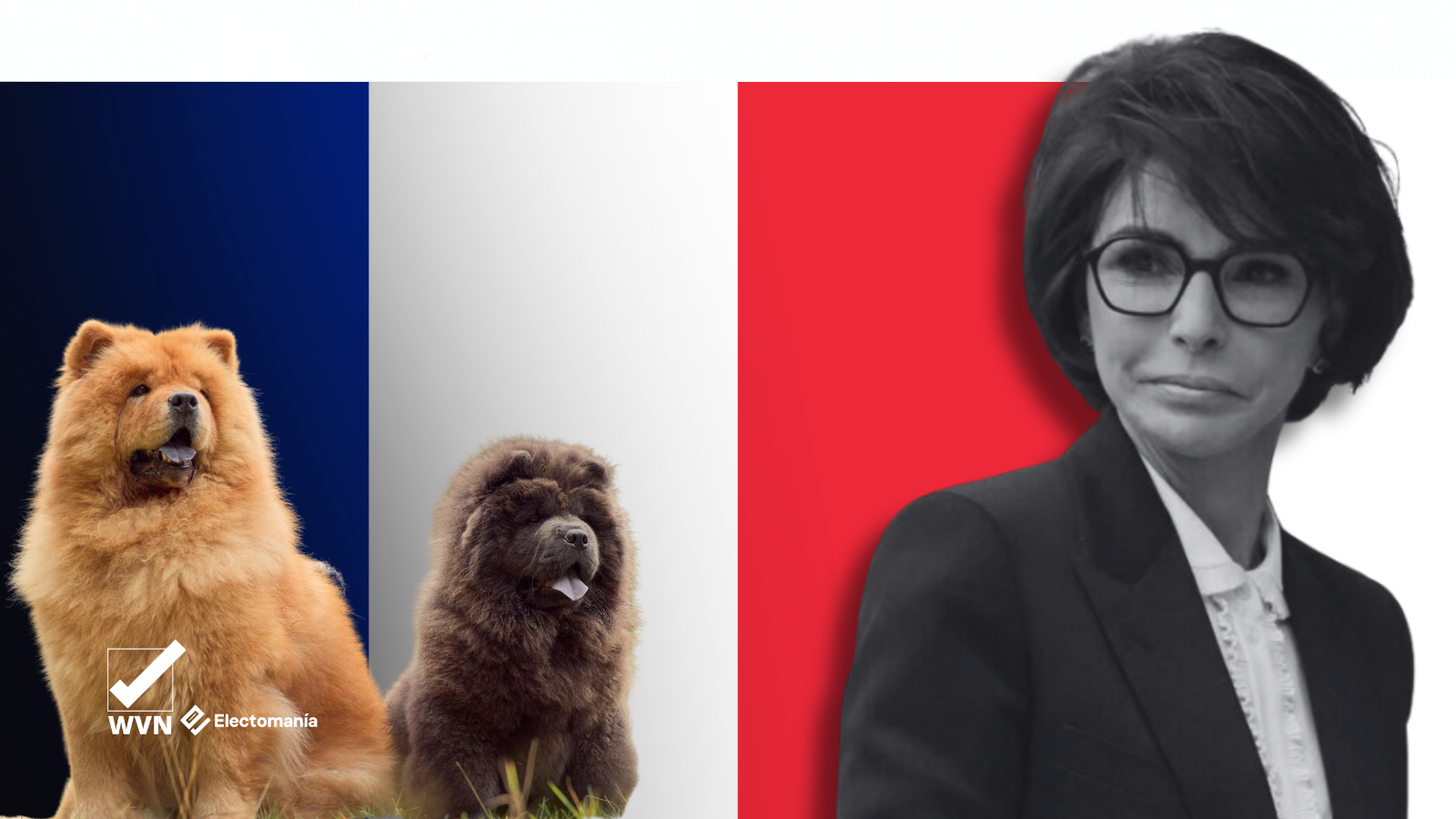 Francia: “convertiré a tu perro en Kebab” - Electomanía