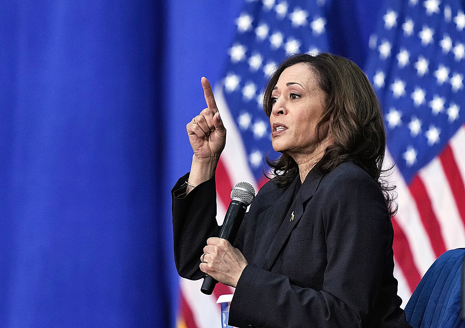 Harris revela que es dueña de un arma - Electomanía
